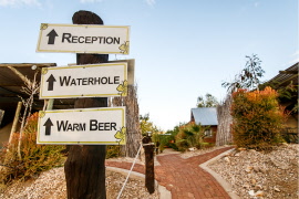 PICTURES OF THE CAMP